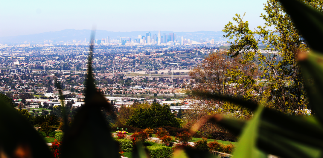 Service Area 7 - Department of Mental Health